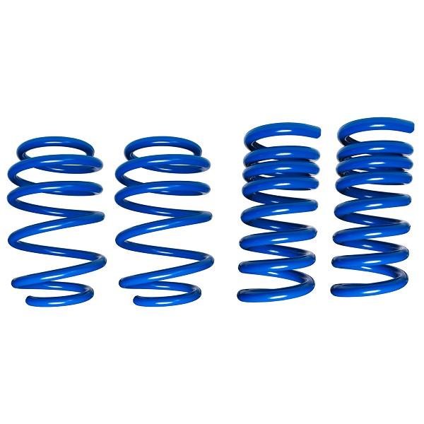 Steeda Mustang Lowering Springs - Ultimate Handling Dual Rate Springs