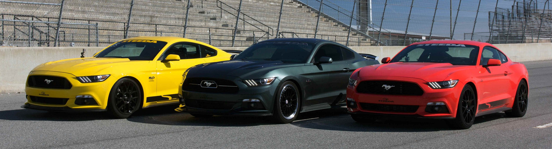 Steeda Ford's number one performance partner